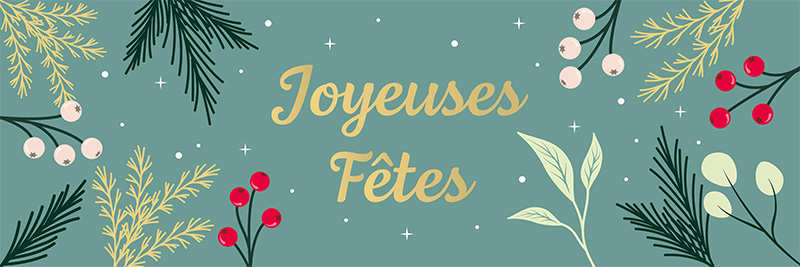 Réseaux sociaux signature mail - Ville de Prévessin-Moëns